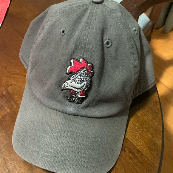 47 | Accessories | Carolina Gamecocks Vintage Sir Bug Spur Logo Hat ...